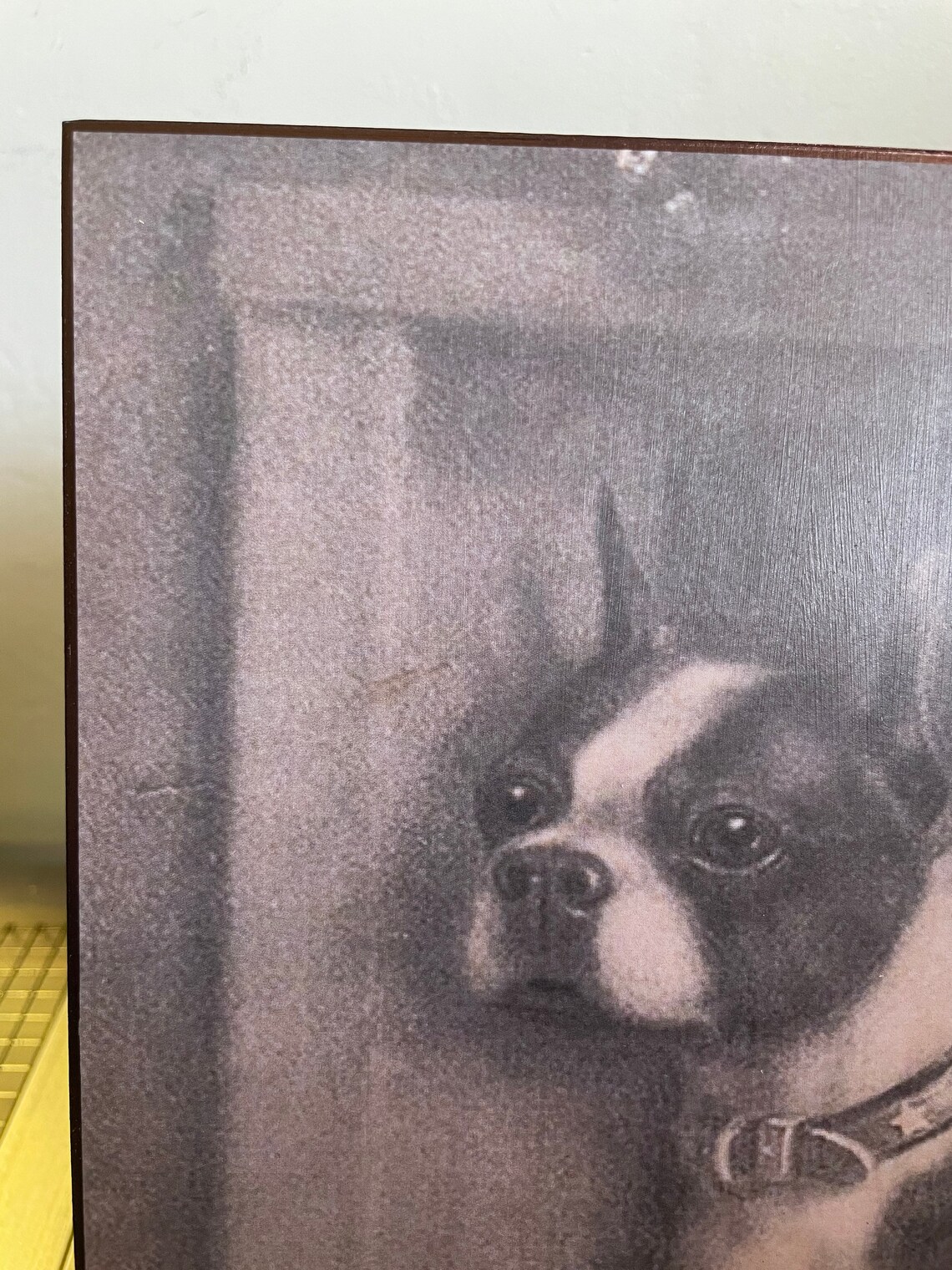 Vintage Boston Terrier Postcard Decoupaged on Wood - Etsy