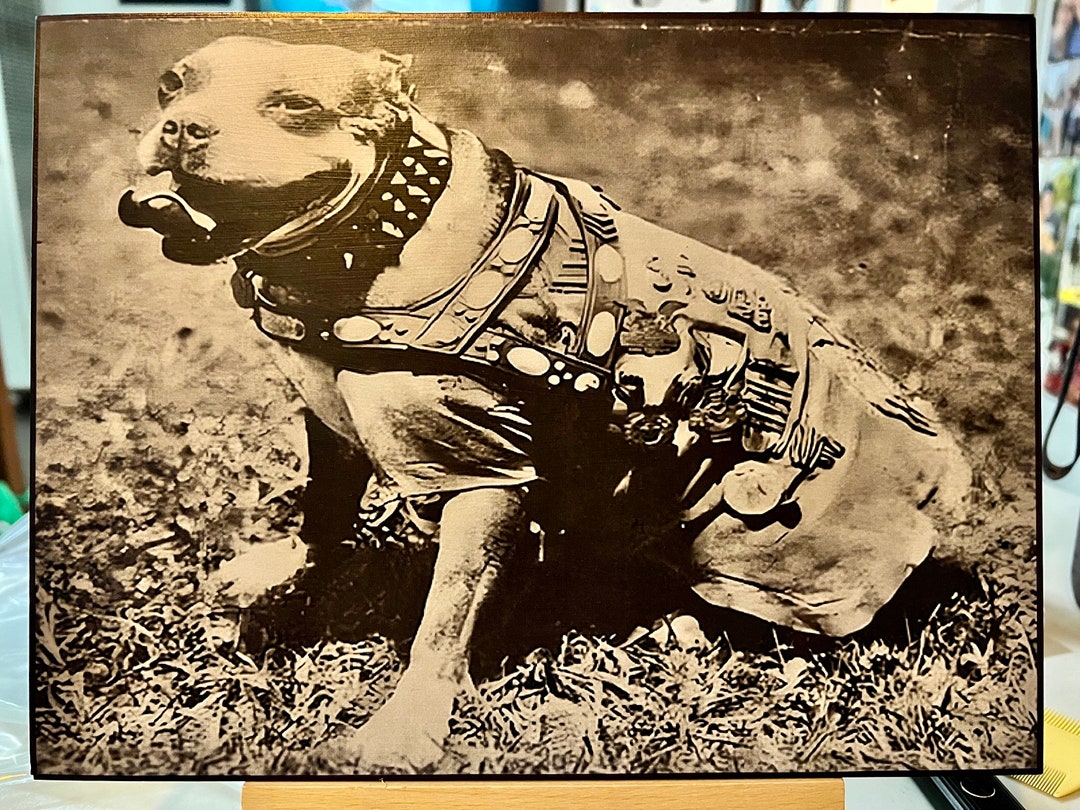 Sgt Stubby Print Decoupaged on Wood - Etsy