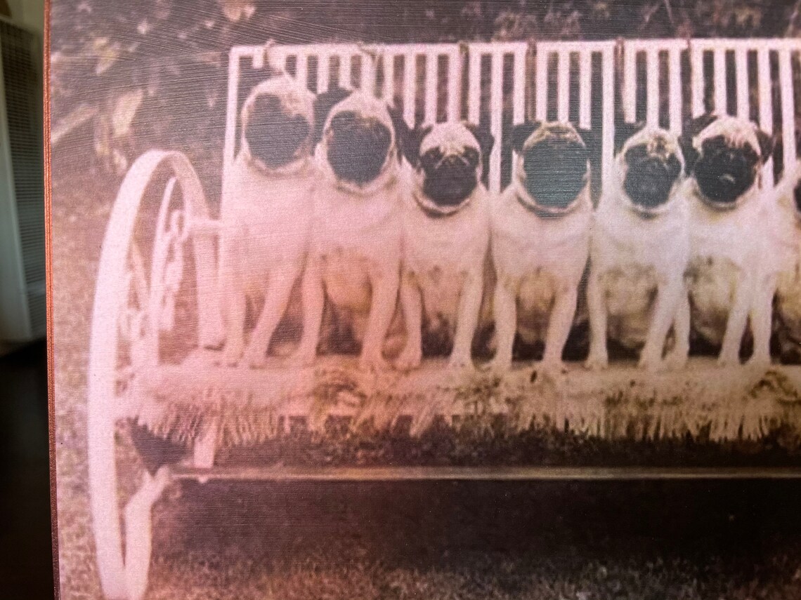 Seven Pugs on a Bench Print Decoupaged on Wood | Etsy
