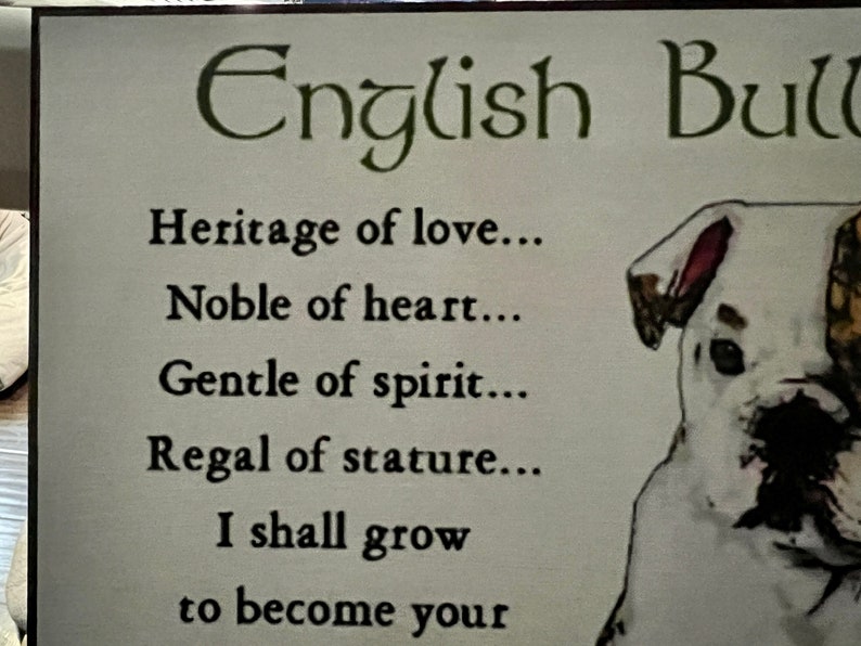 What is an English Bulldog Photo Decoupaged on Wood - Etsy