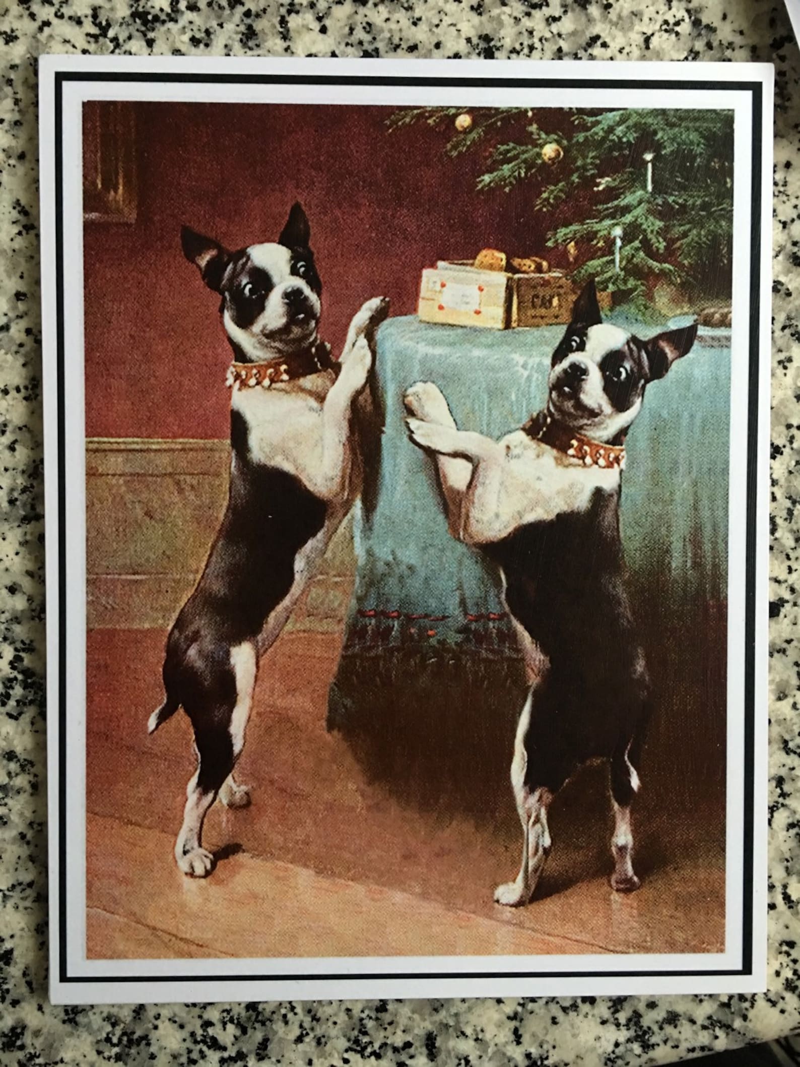 Vintage Boston Terrier Puppies Decoupaged on Wood - Etsy