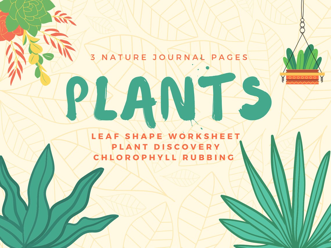 Plant and Leaf Nature Journal Pages and Activities, Chlorophyll Rubbing ...
