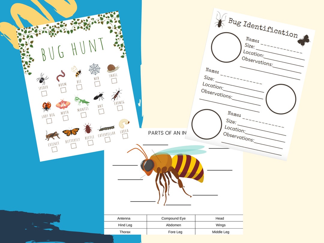 Bug Nature Journal Pages and Activities, Bug Scavenger Hunt, Bug ...