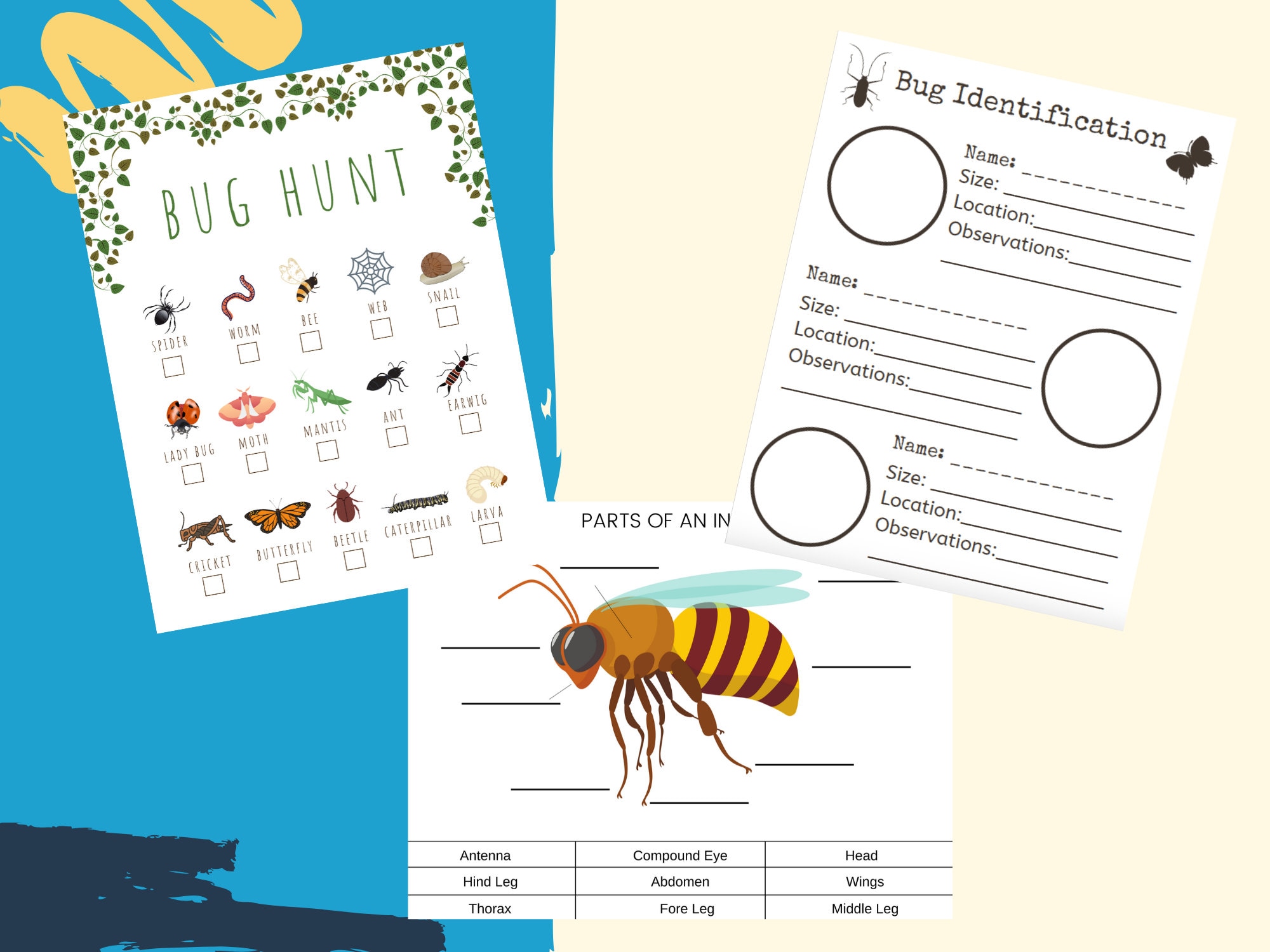 Bug Nature Journal Pages and Activities, Bug Scavenger Hunt, Bug ...