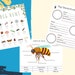 22 Page Nature Activity Journal for Kids, Homeschool, Distant Learning ...