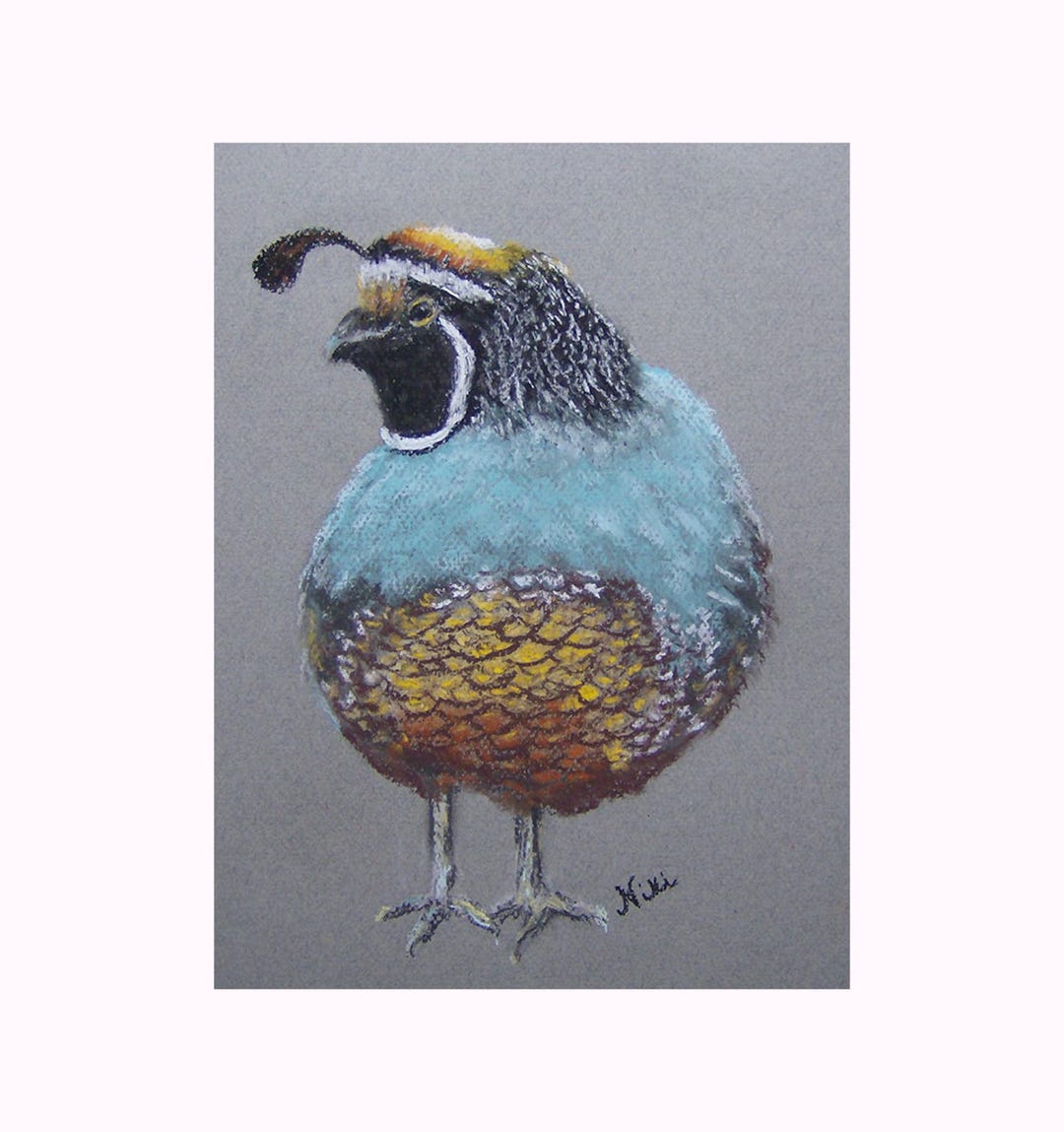 Original California Quail Bird Drawing Pastel Decorative Wildlife Art ...