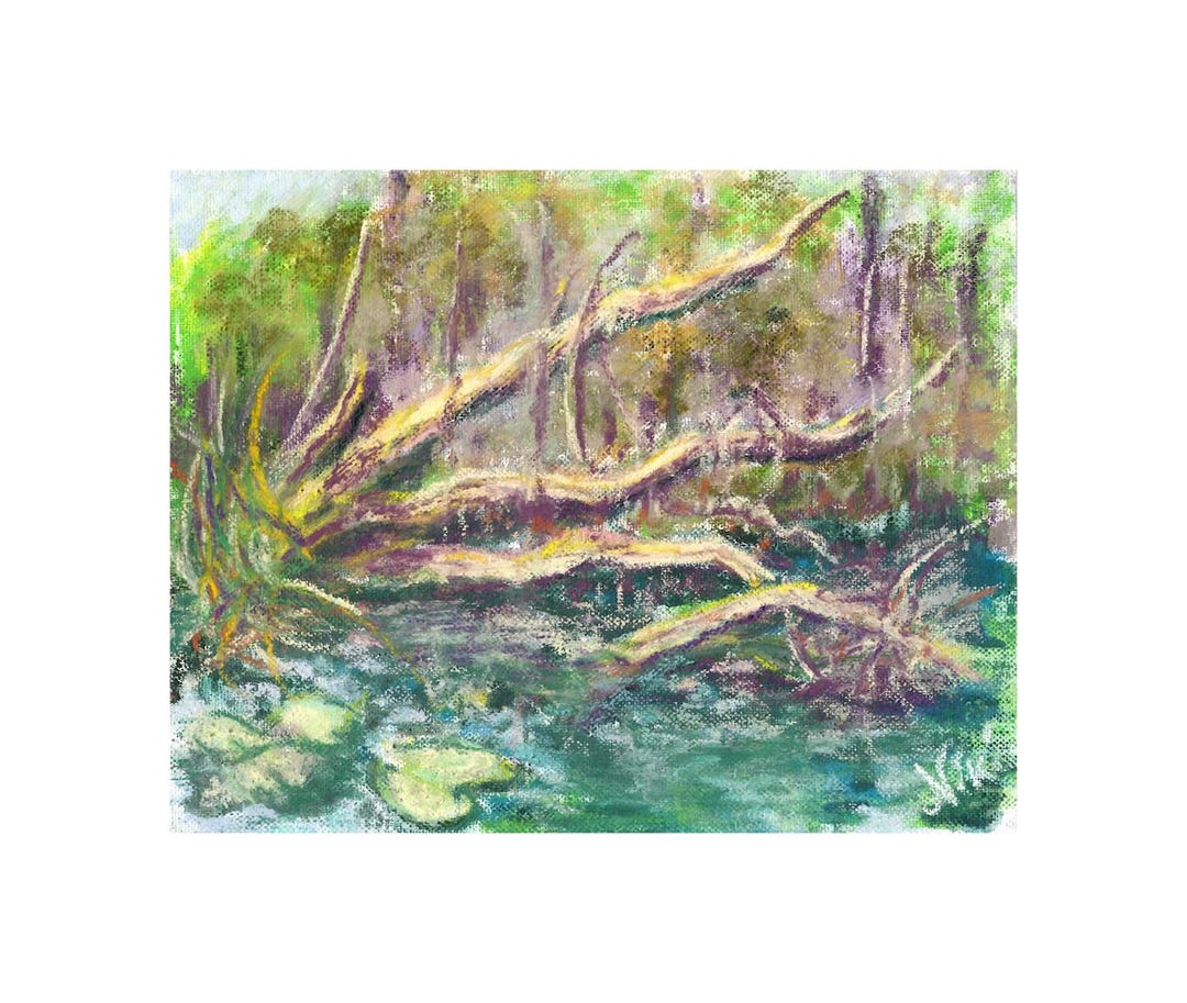 Original Impressionism Pastel Art Swamp Everglades Tree Painting by ...