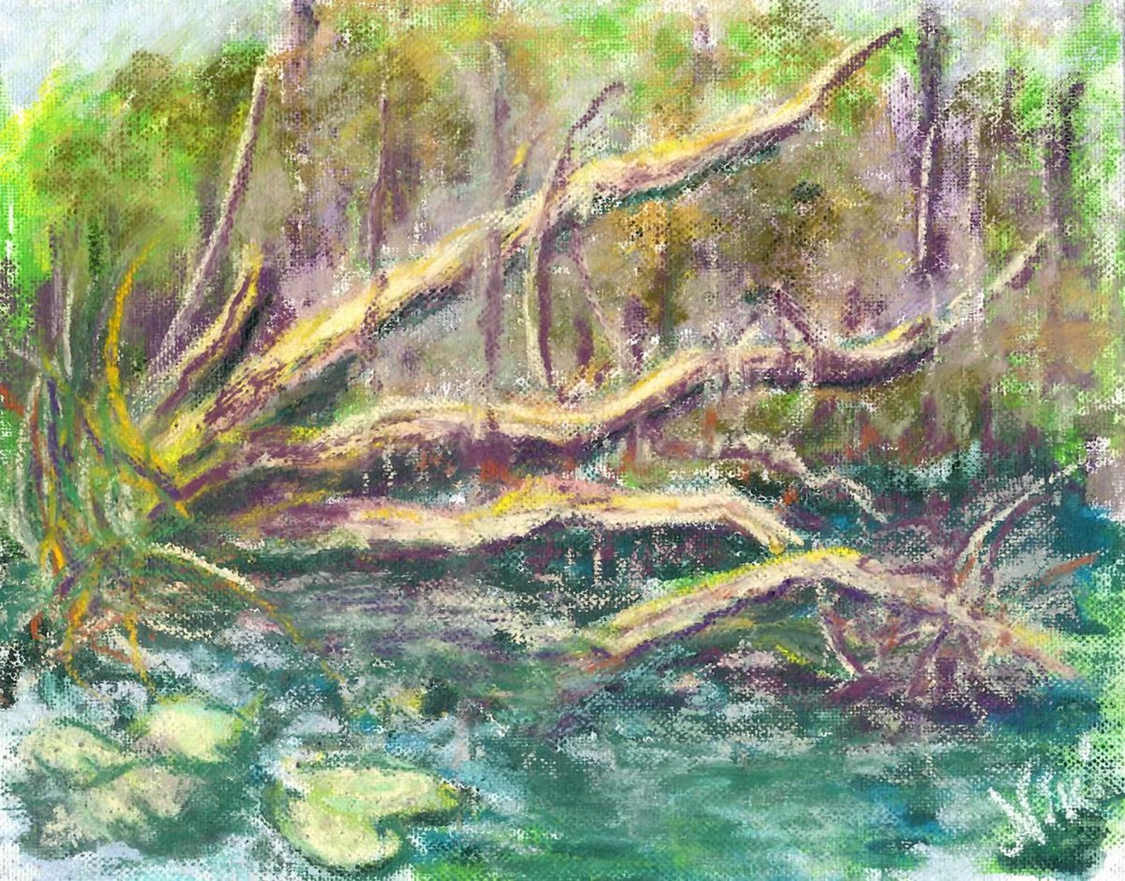 Original Impressionism Pastel Art Swamp Everglades Tree Painting by ...