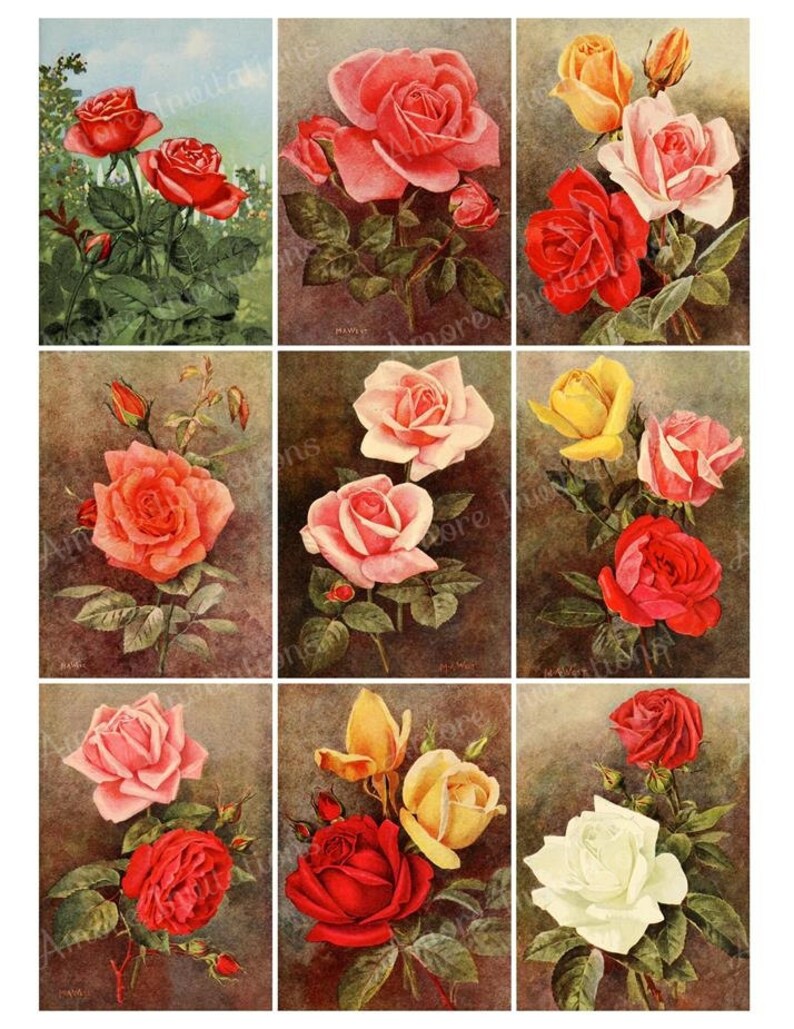 Printable Vintage Roses Floral, Flowers Collage Sheet, JPEG PDF ...