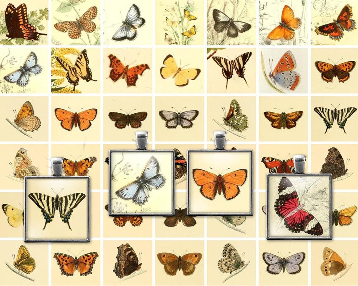 Printable Vintage Butterfly Butterflies Digital Collage - Etsy