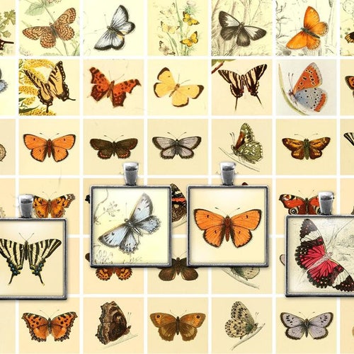 Butterflies & Moths Collage Sheet Digital Printable - Etsy
