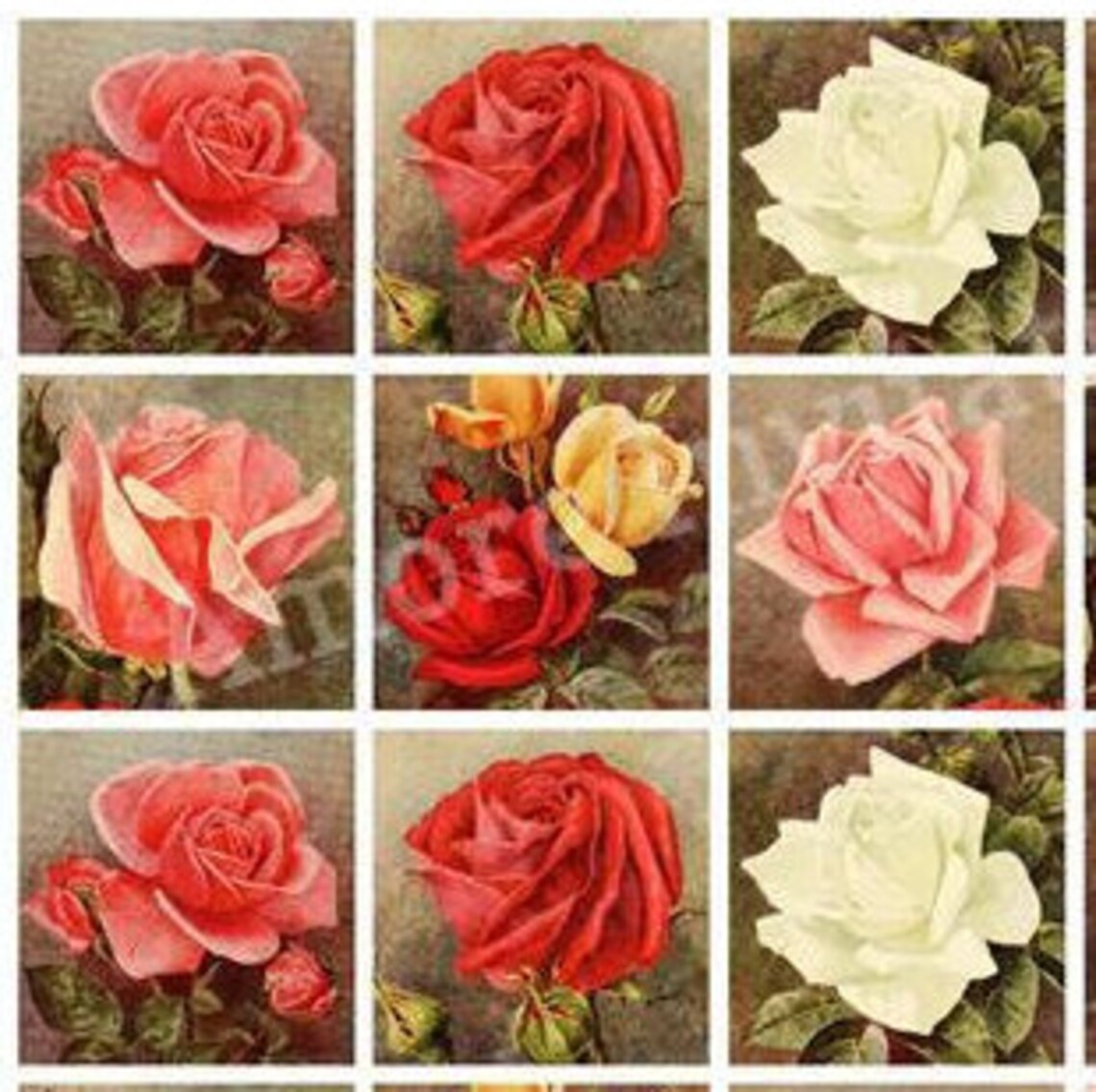 Printable Vintage Roses Digital Collage Sheet Flower 1 Inch | Etsy