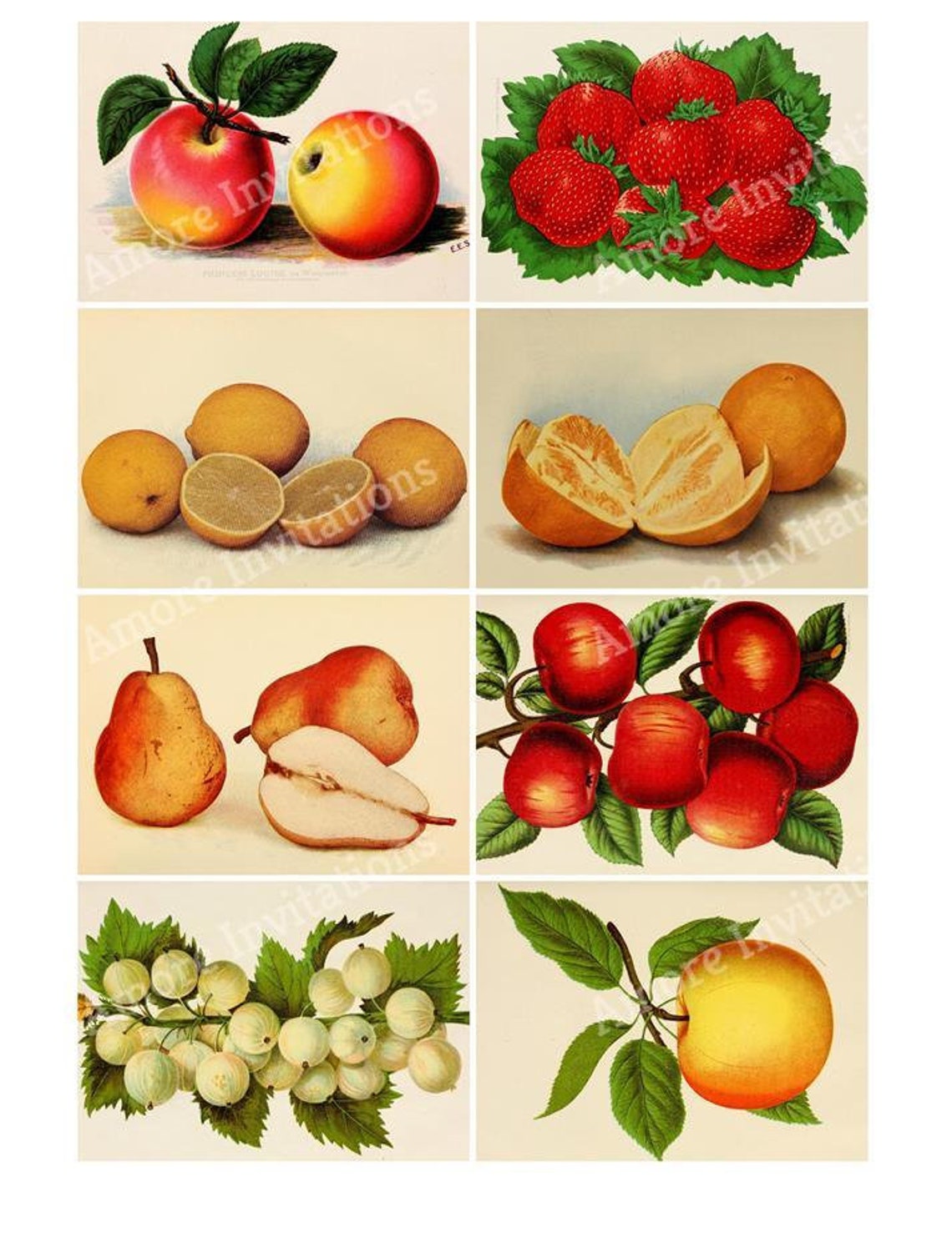 Printable Vintage Fruits Collage Sheets Set Images of Fruit | Etsy