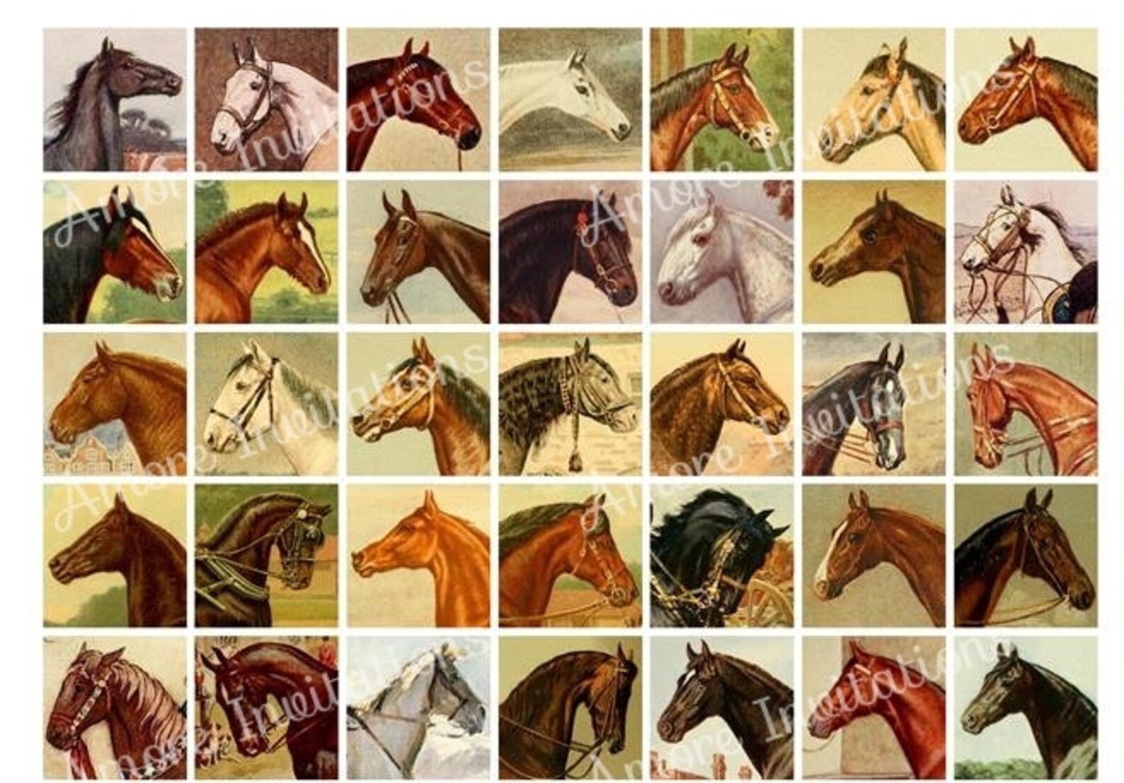 Printable Vintage Horses Digital Collage Sheet, 1 Inch Squares, JPG ...