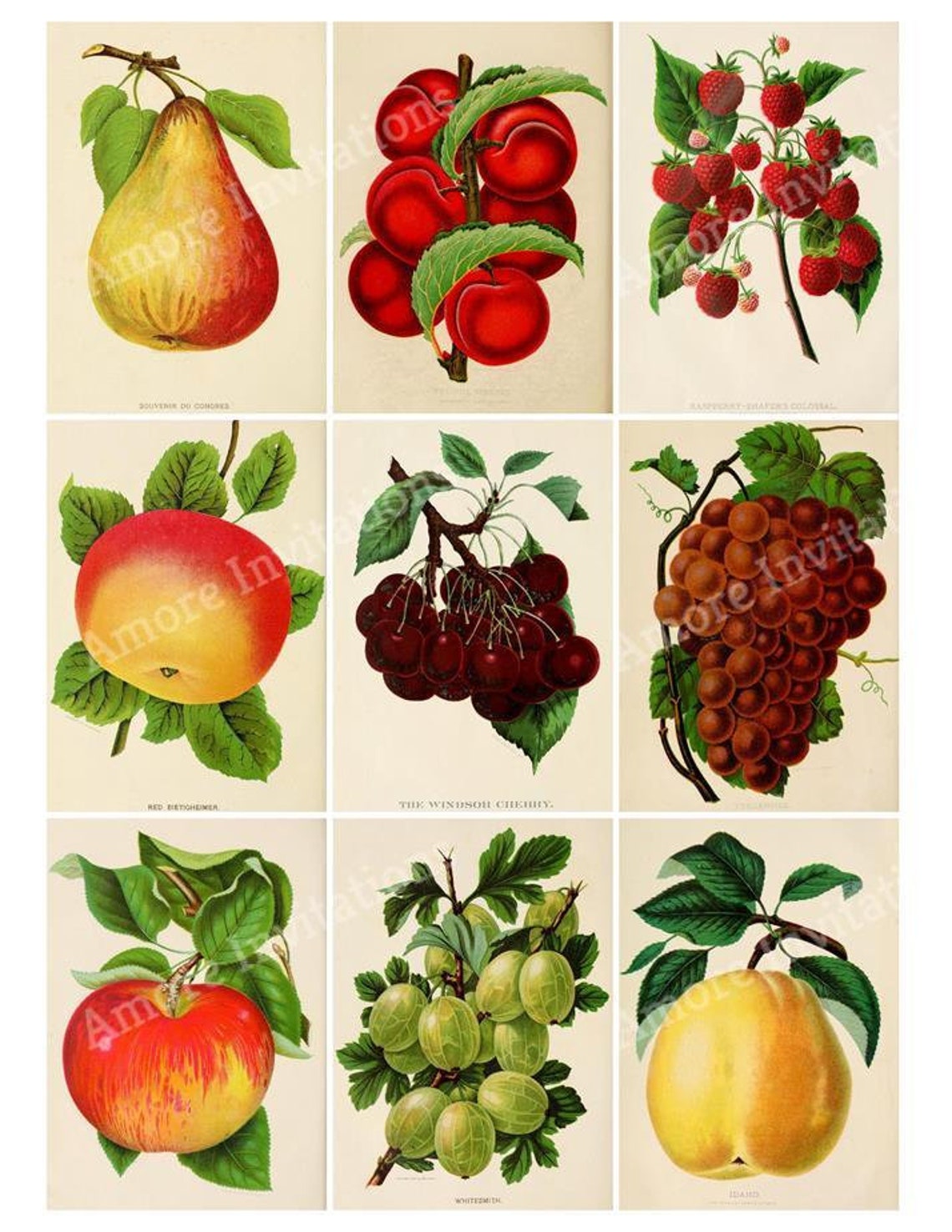 Printable Vintage Fruits Collage Sheets Set Images of Fruit | Etsy