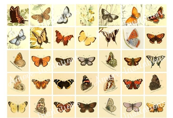 Printable Vintage Butterfly Butterflies Digital Collage - Etsy