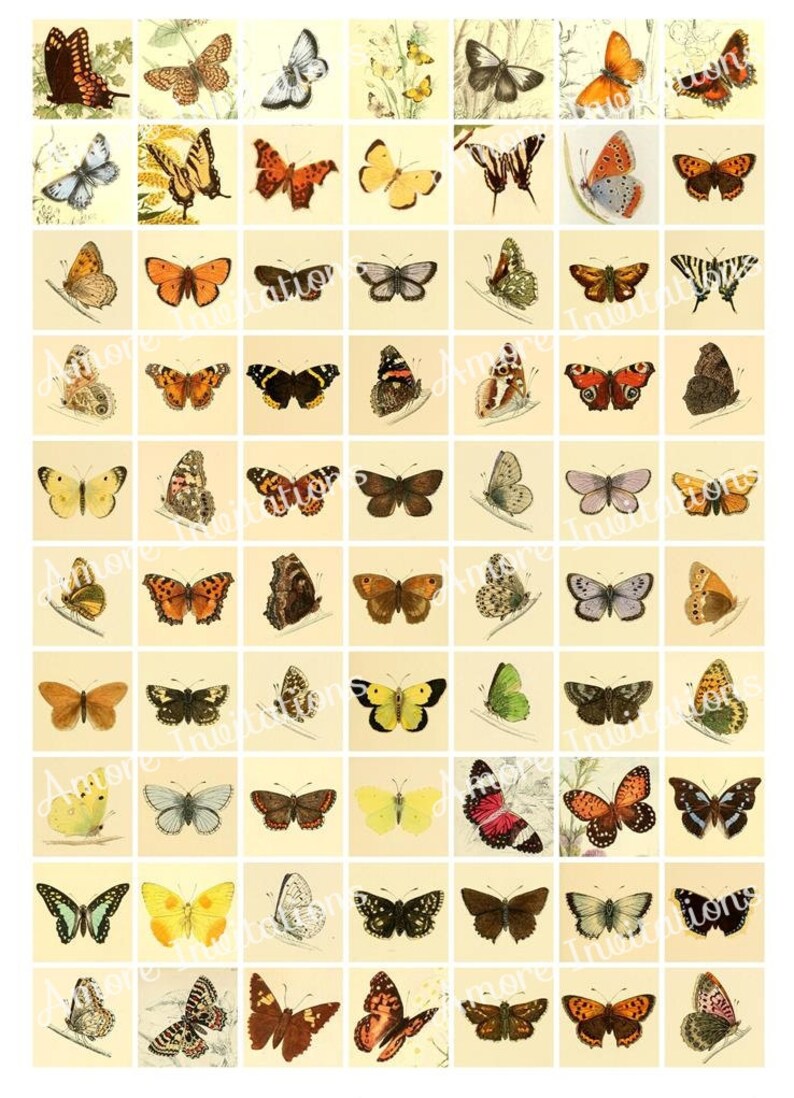 Printable Vintage Butterfly Butterflies Digital Collage - Etsy
