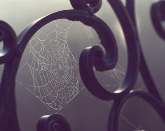 Items similar to 8x10" Halloween "BOO" Glitter Spider Web Canvas on Etsy