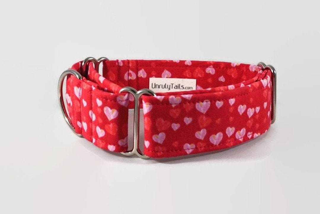 Floating Hearts Adjustable Dog Collar Martingale Collar or Side Release ...