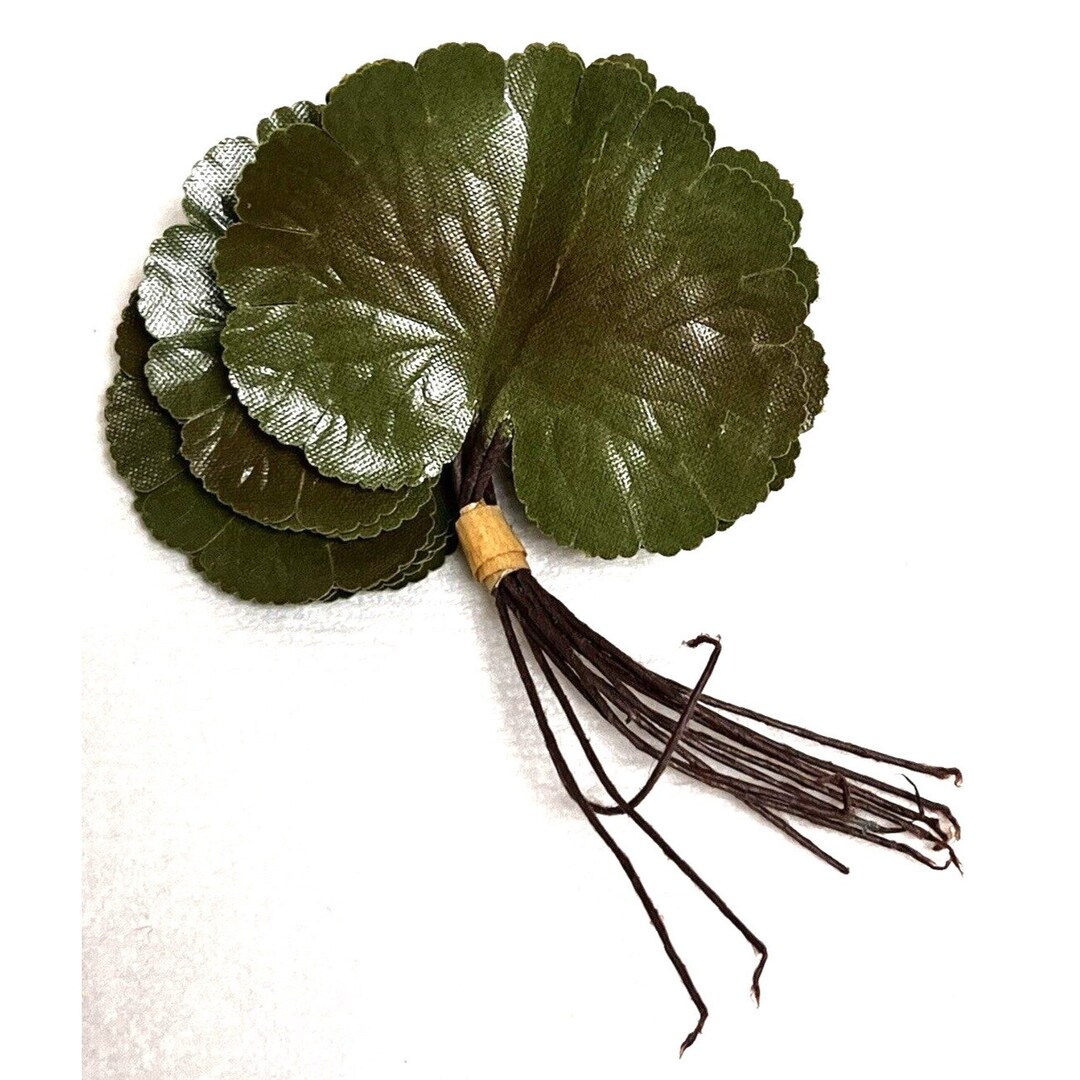 12 Vintage Geranium Corsage Leaves Variegated 2 3/4" W 2 1/42 L Never ...