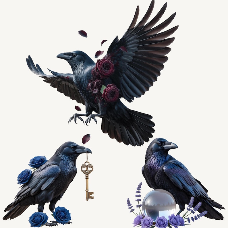 Gothic Raven Clipart Bundle, Dark Academia PNG, Crow Bird Sublimation ...