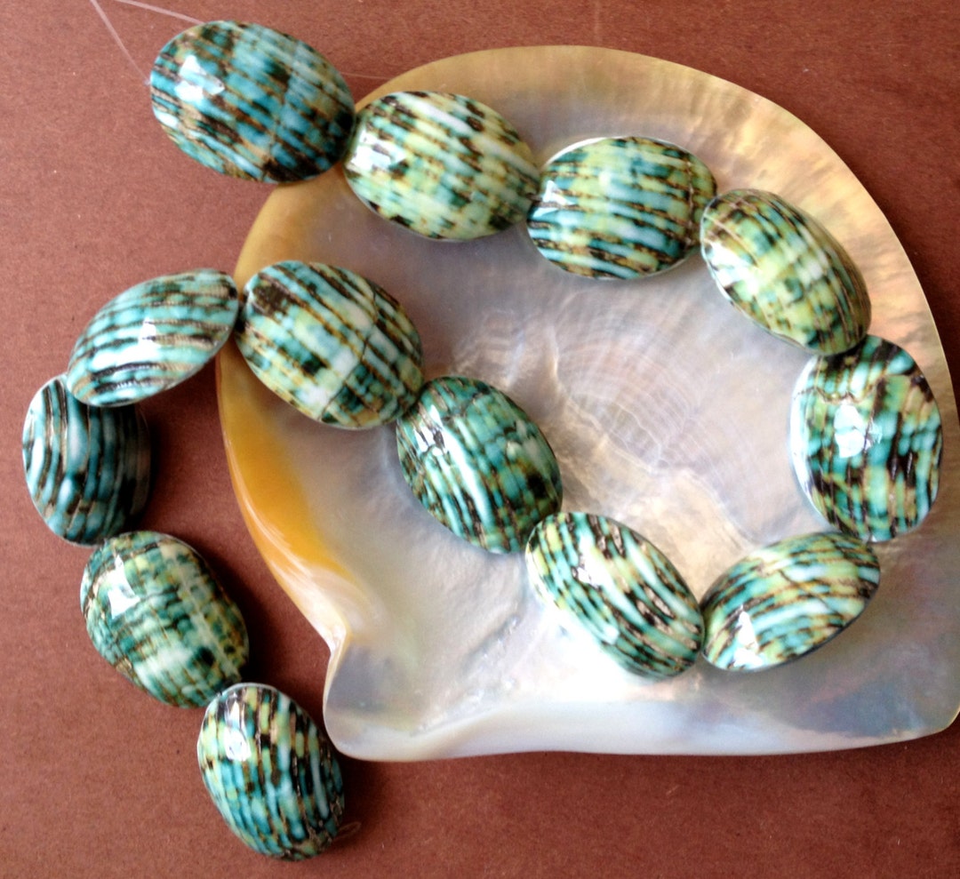 Sea Shell Beads (green Jade Turbo) - Etsy