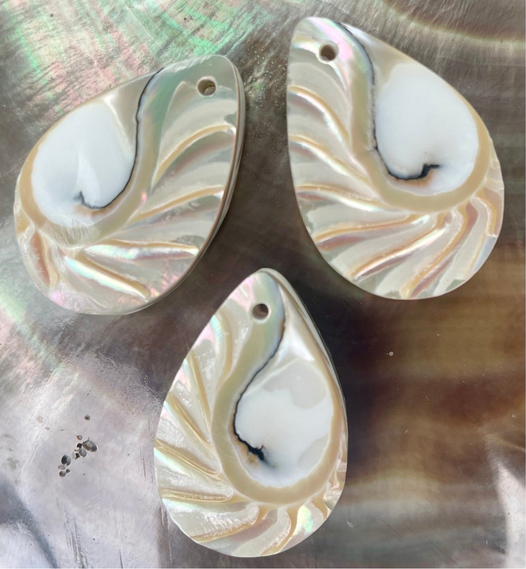 NAUTILUS CORE TEARDROP Grooved, the Rarest Bead (4 Pieces) - Etsy