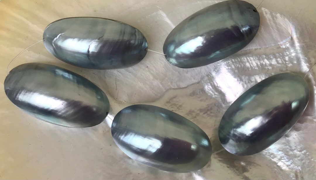 NEW! Nautilus Oval Convex Beads (3-dimensional) - Etsy