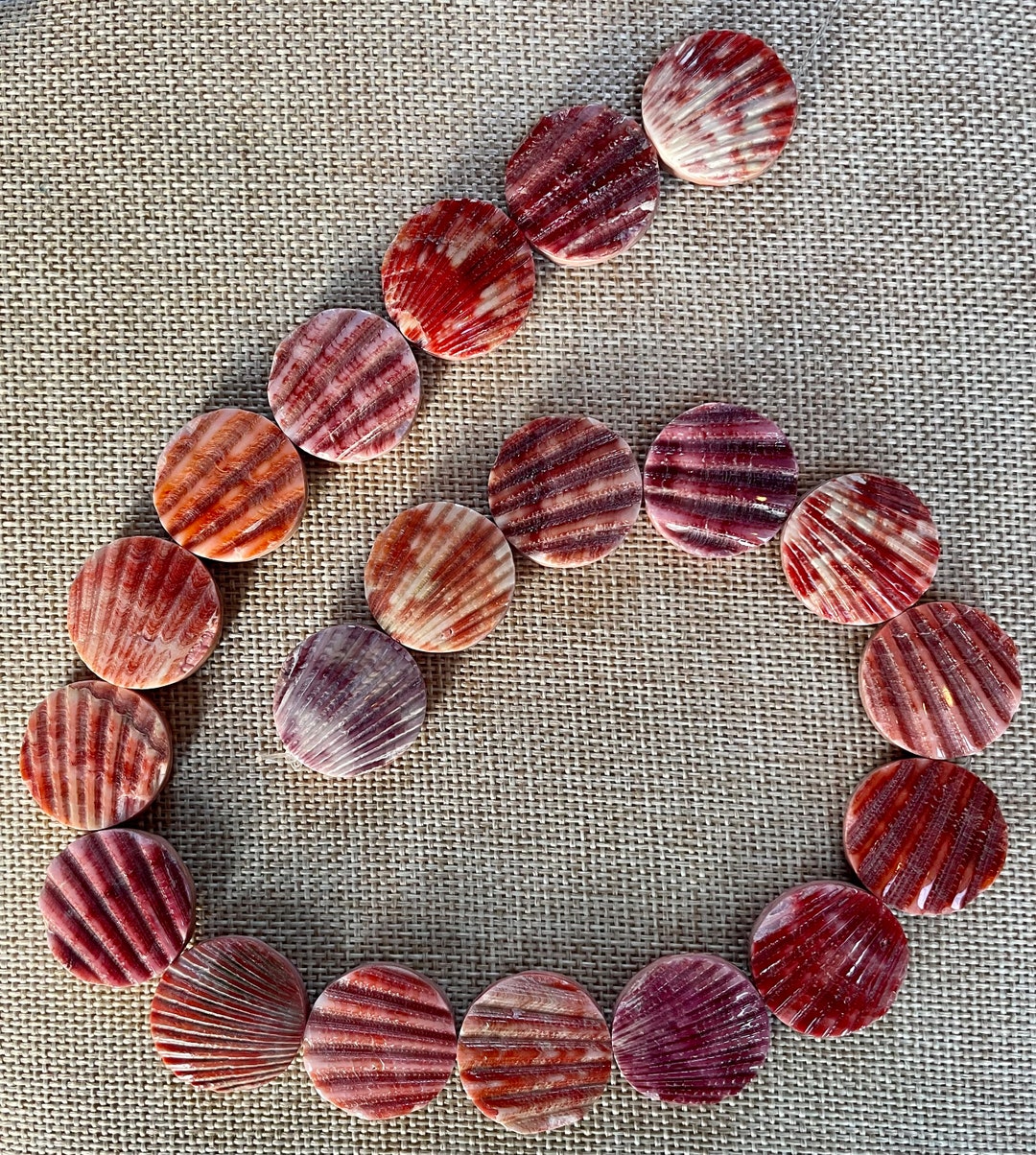 Sea Shell Beads Scallops Pink Etsy