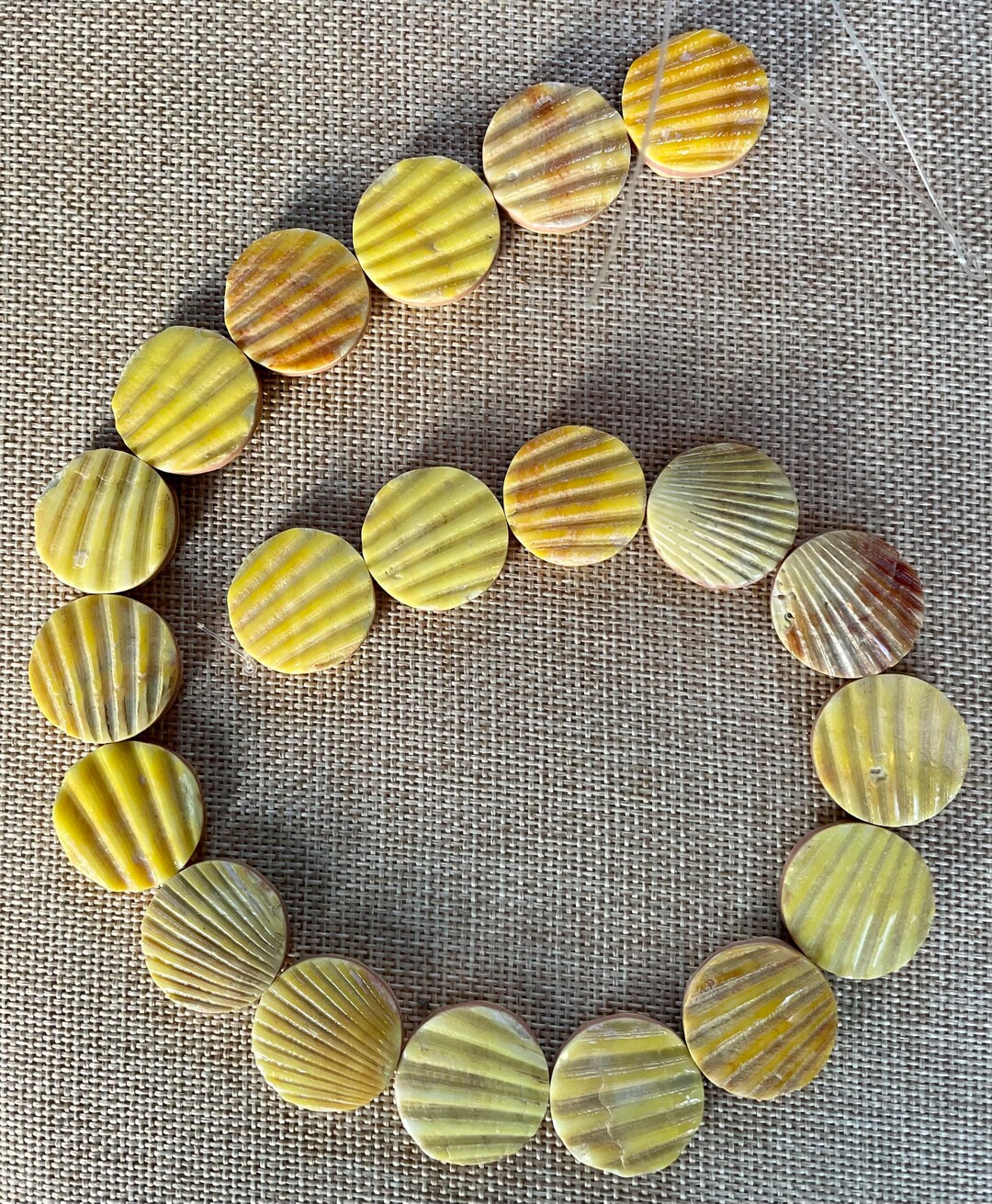 Sea Shell Beads Scallops yellow - Etsy