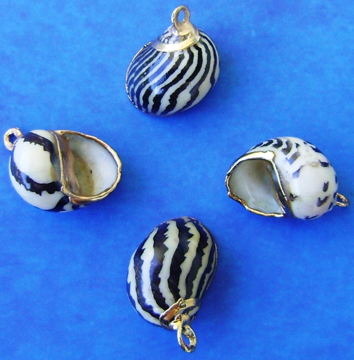 Nerita Sea Shell Jewelry Components Gold-Plated 8 pcs. | Etsy