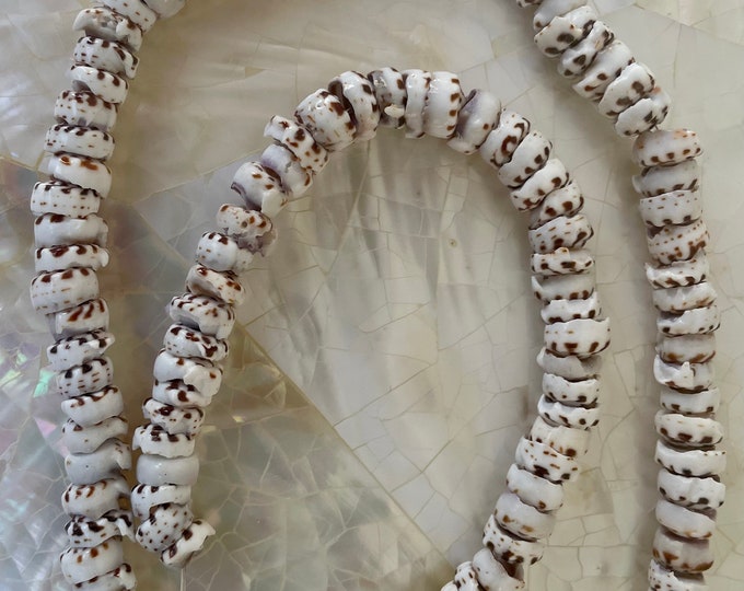 Rare Tiger Puka Shell Beads 7-8 Mm. - Etsy