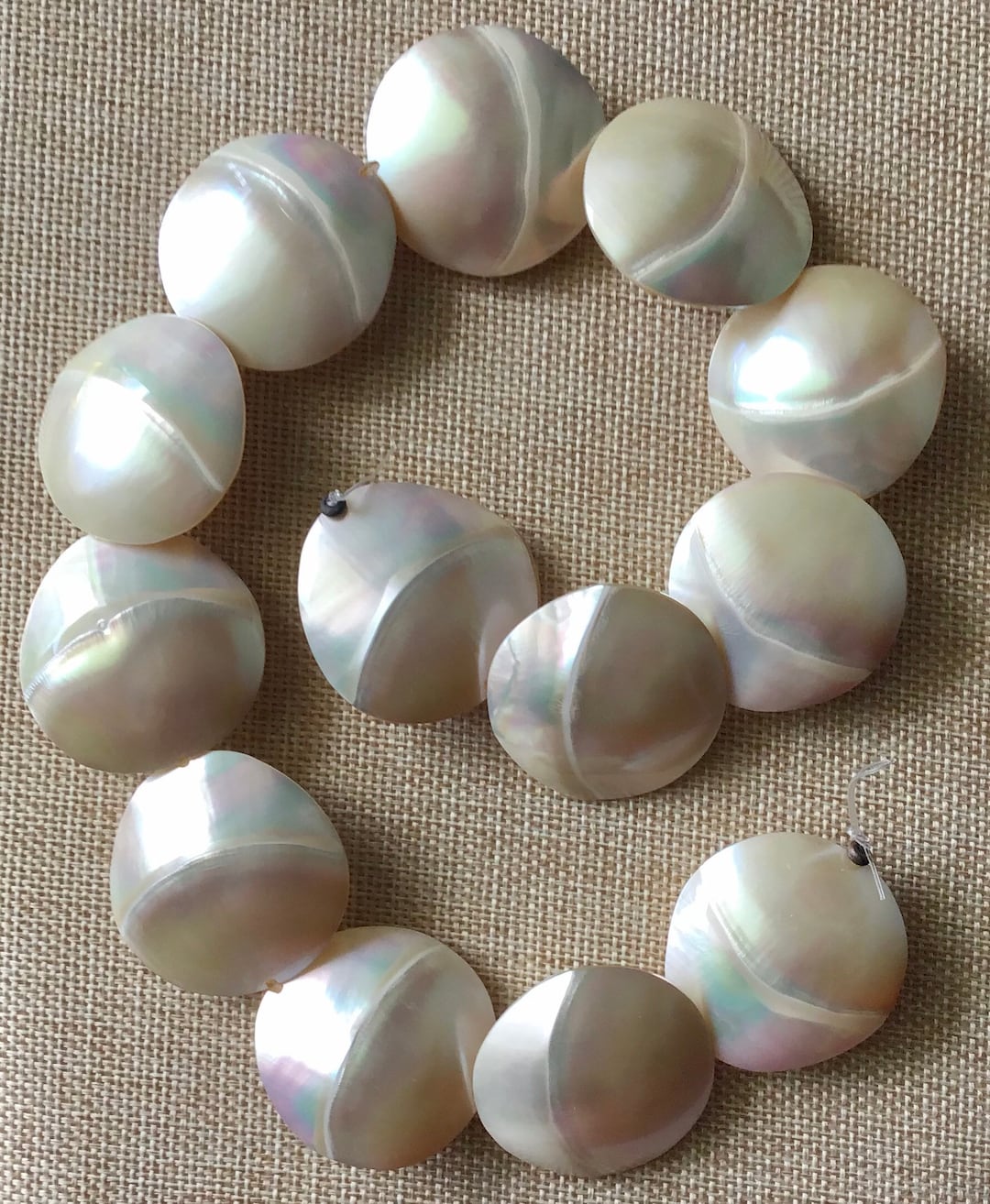Nautilus Round Convex Beads - Etsy