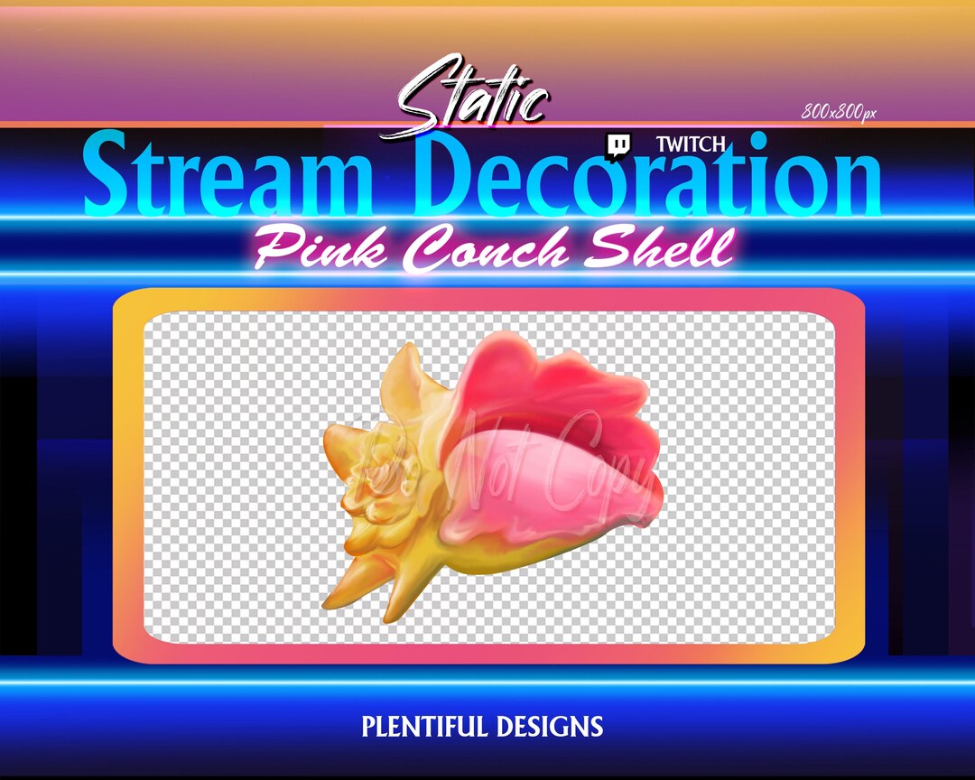 Conch Seashell Stream Decorations | Static Conch Seashell Clip Art ...