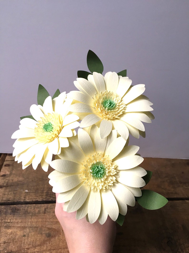 Light Yellow Paper Gerbera Daisies, First Anniversary, Paper Flowers ...