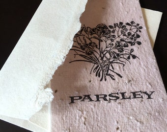 Basil Seeded Blank Card Plant Me | Etsy