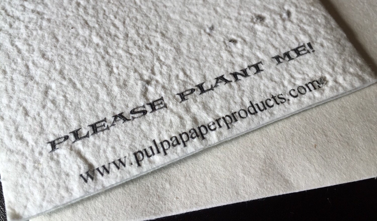 Basil Seeded Blank Card - Plant Me! - Etsy