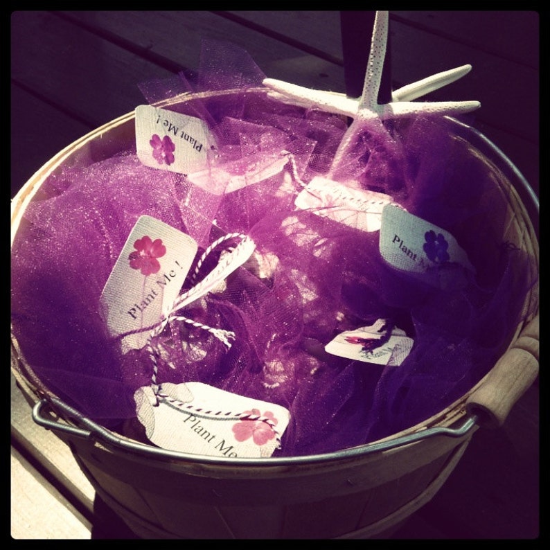 Seed Bomb Tulle Favor With plant Me Tag 50 Count - Etsy