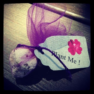 Seed Bomb Tulle Favor With "plant Me" Tag - 50 Count - Etsy