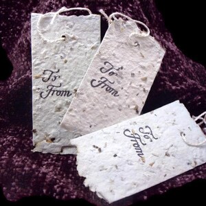 Seed Paper Gift Tags - Etsy