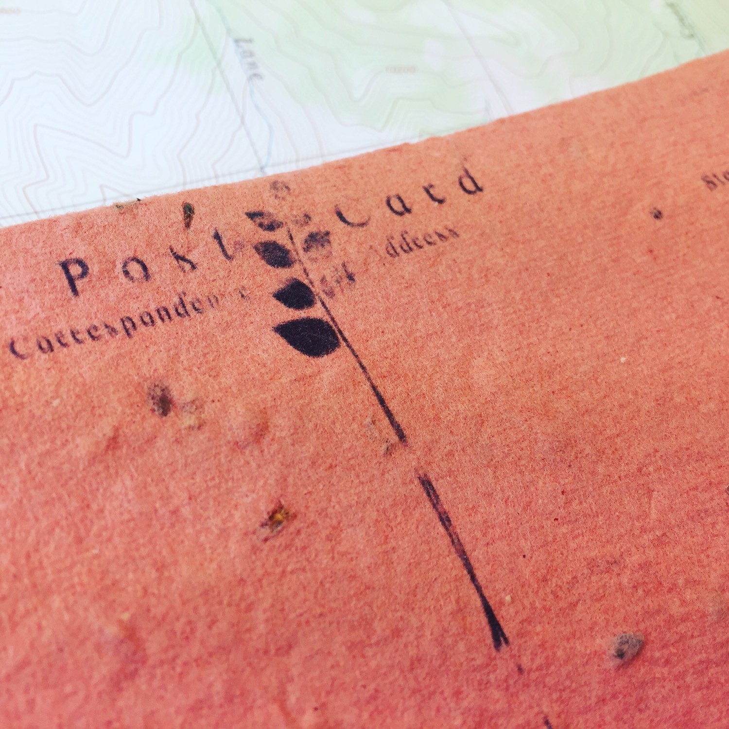 Wildflower Seeded Plantable Postcards Set of 10 - Etsy