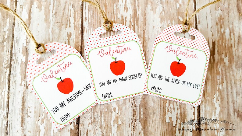 Applesauce Valentine Tags Applesauce Pouch Valentine's - Etsy