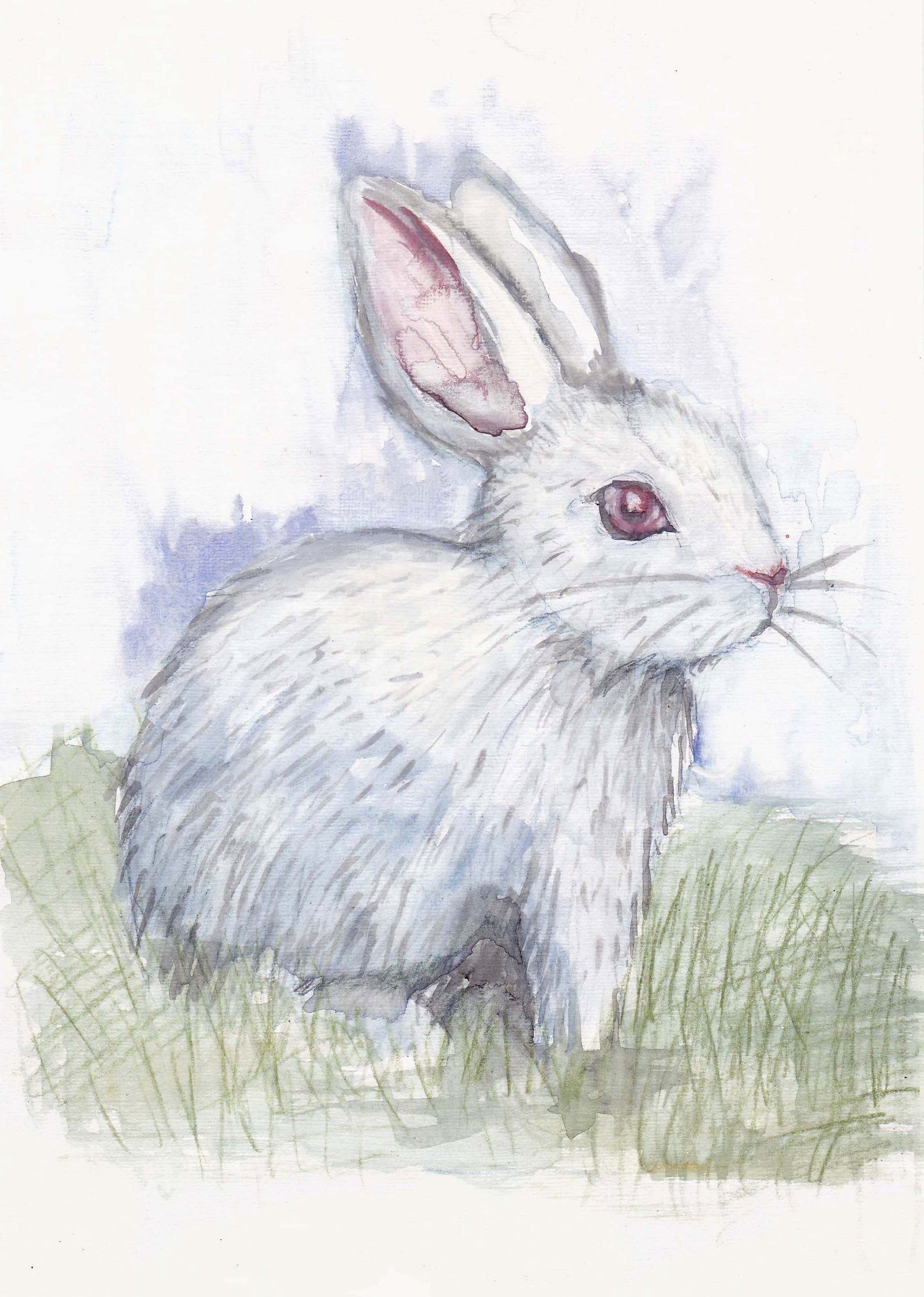Art for a Cause. White Albino Rabbit Original Painting. All - Etsy