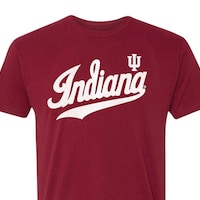 Retro Indiana Shirt, Groovy Indiana T-shirt, Indiana Vintage Wavy ...