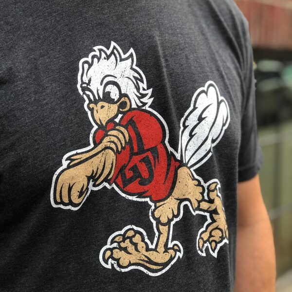 Liberty University Mascot Sweatshirts - Etsy