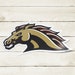 Western Michigan University Broncos WMU Bronco Head Brown and Gold Car ...