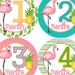 Baby Monthly Milestone Growth Stickers Pink Flamingos Pineapple Palm ...