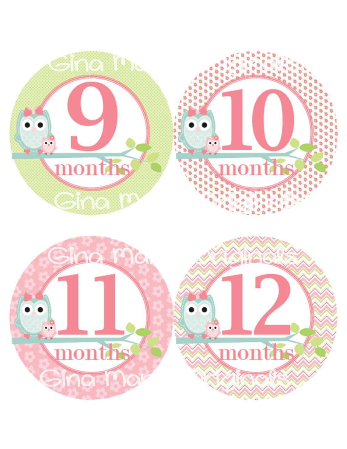 Baby Monthly Milestone Growth Stickers in Turquoise Pink Green Owls ...