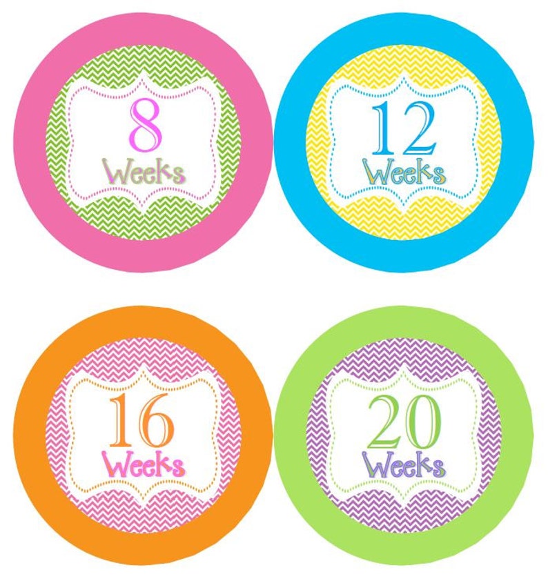 12 Weekly Pregnancy Belly Bump Stickers Pink Blue Orange Green Chevrons ...