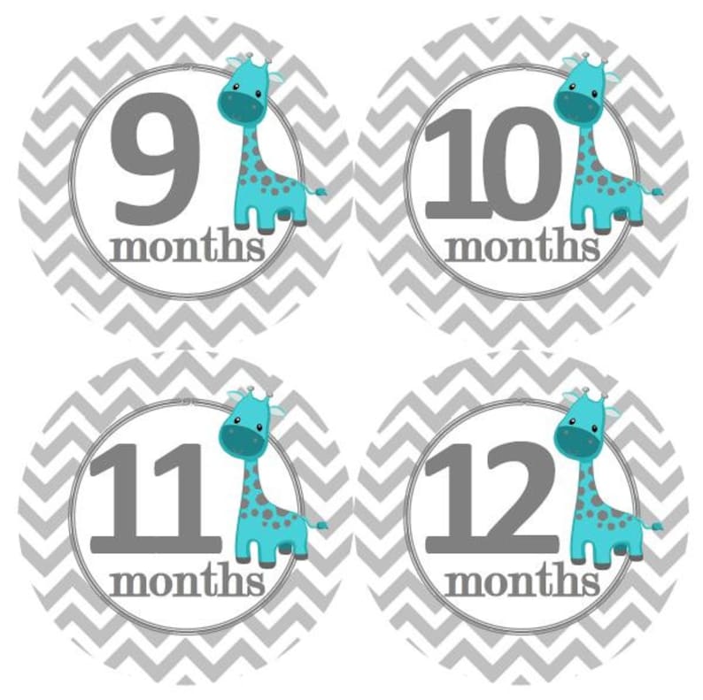 Baby Monthly Milestone Growth Stickers Turquoise With Grey - Etsy